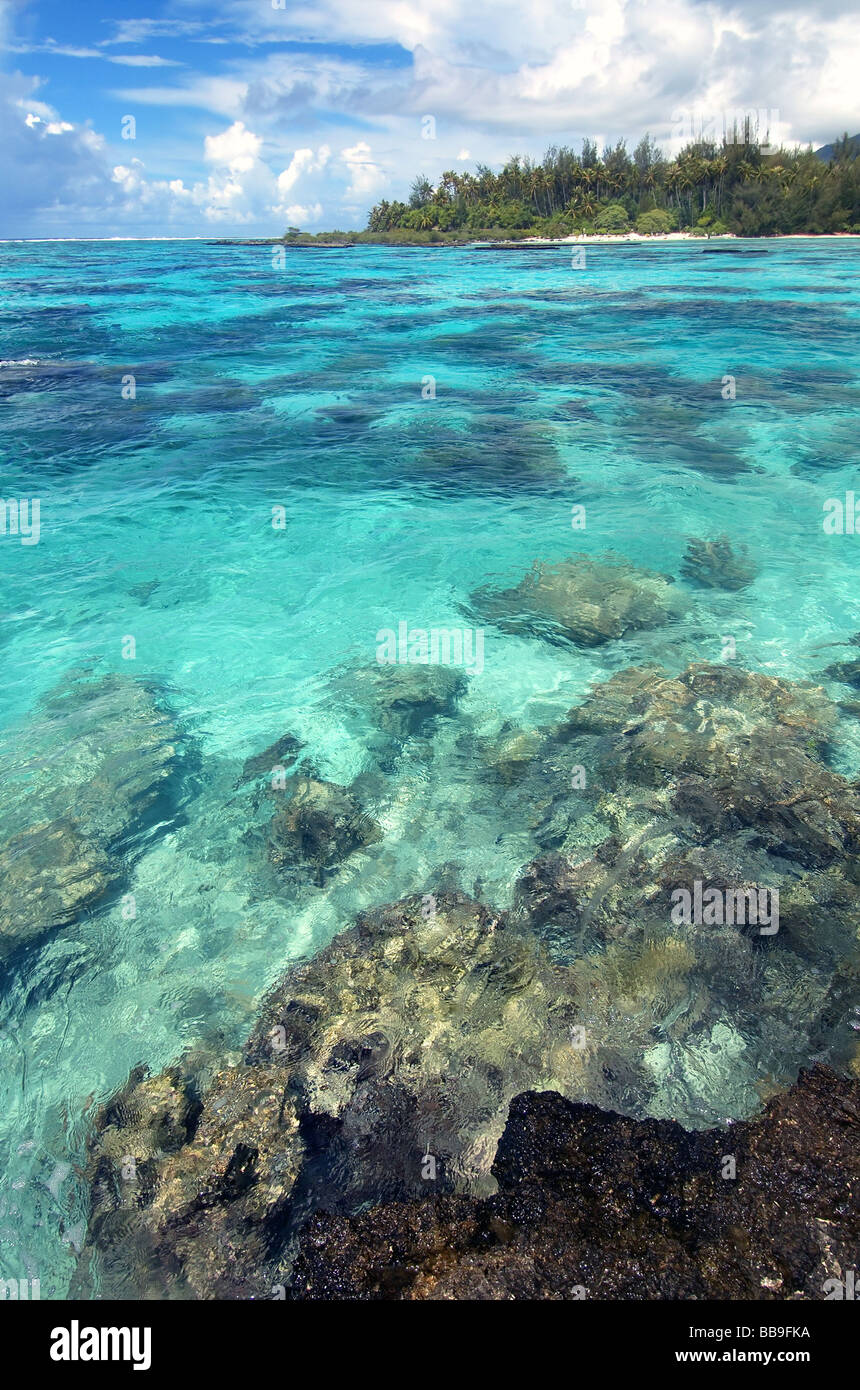 Reefs and islands in the lagoon surrounding the island of Moorea ...