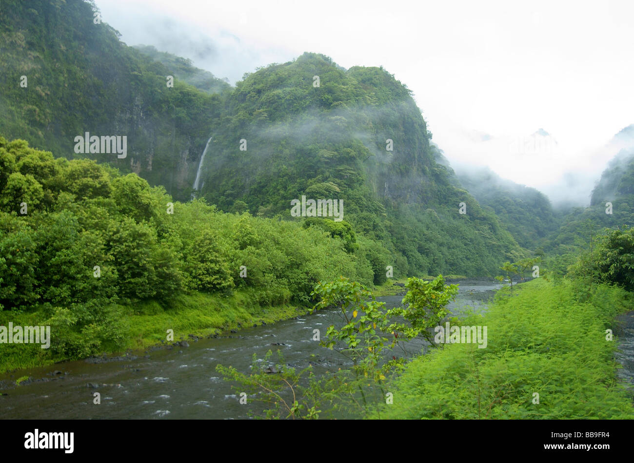 Tahiti french polynesia vegetation hi-res stock photography and images ...