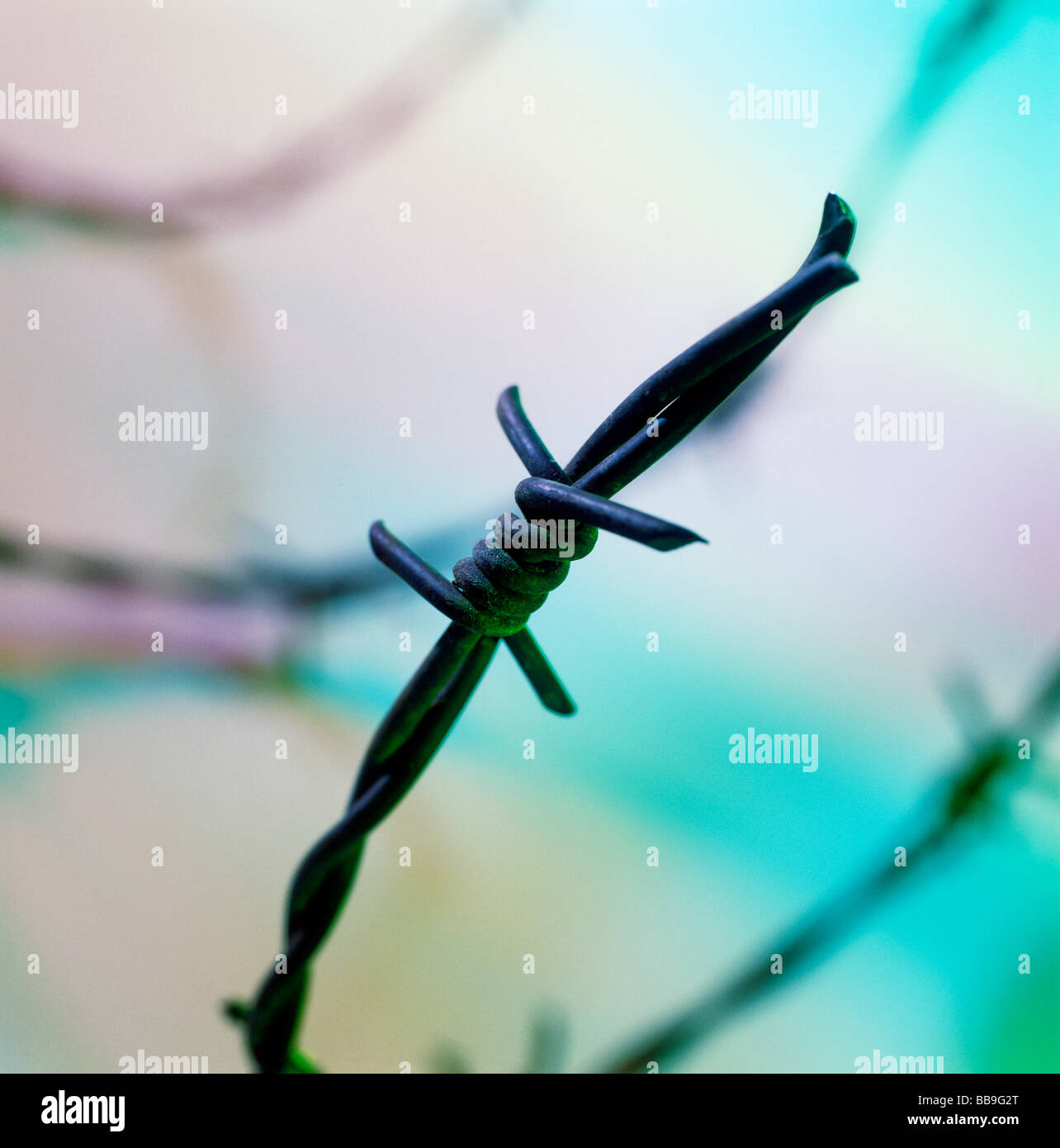 Cutted cable wire hi-res stock photography and images - Alamy