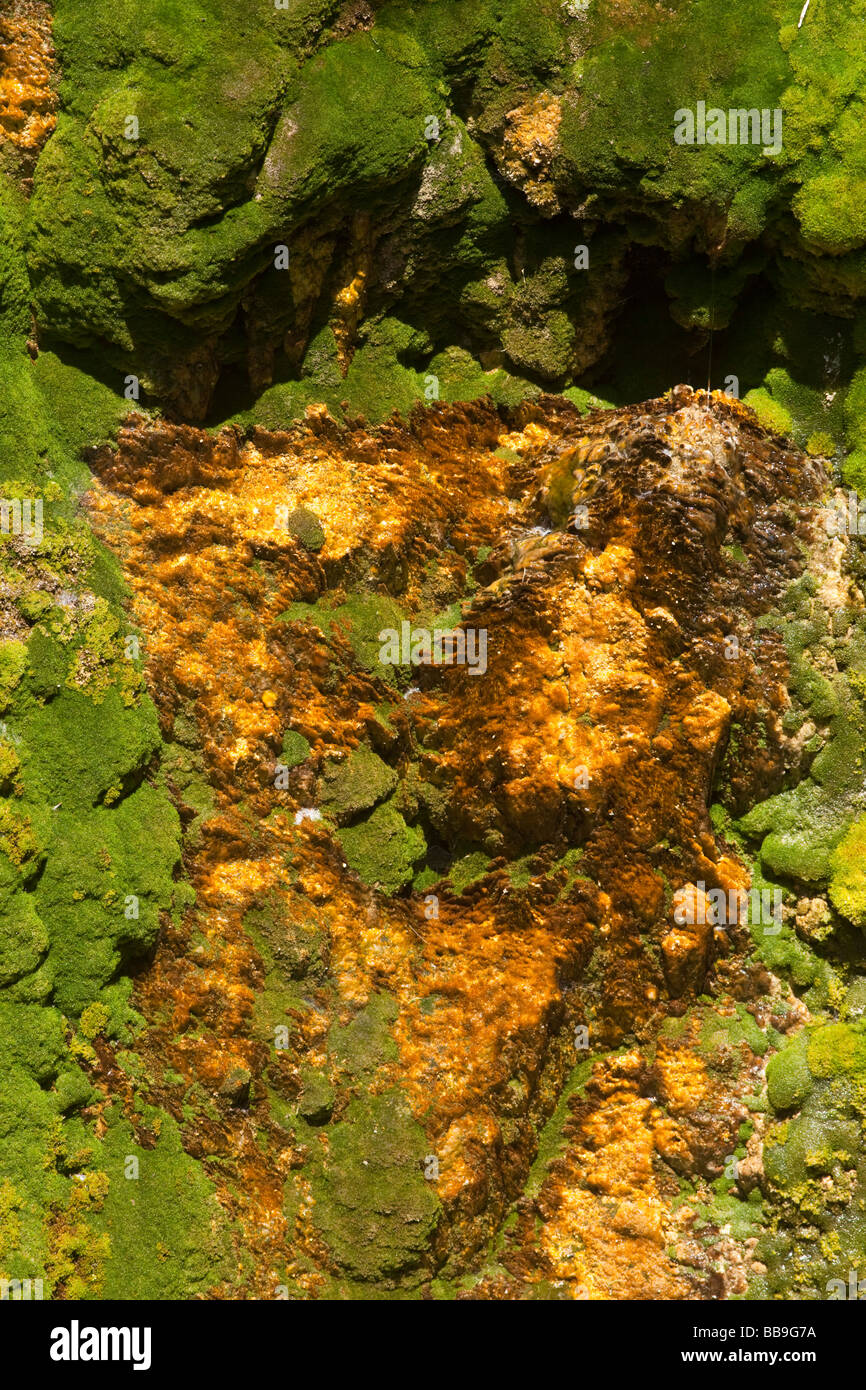 Sulpher and algae growth at the entrance of the Kaklik Cave near ...