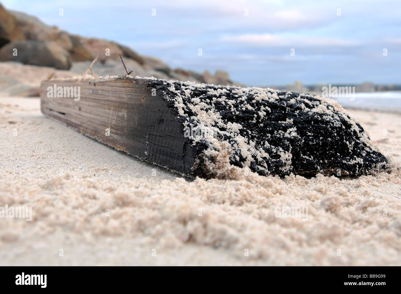 Burnt timber washed up on the beach Stock Photo - Alamy