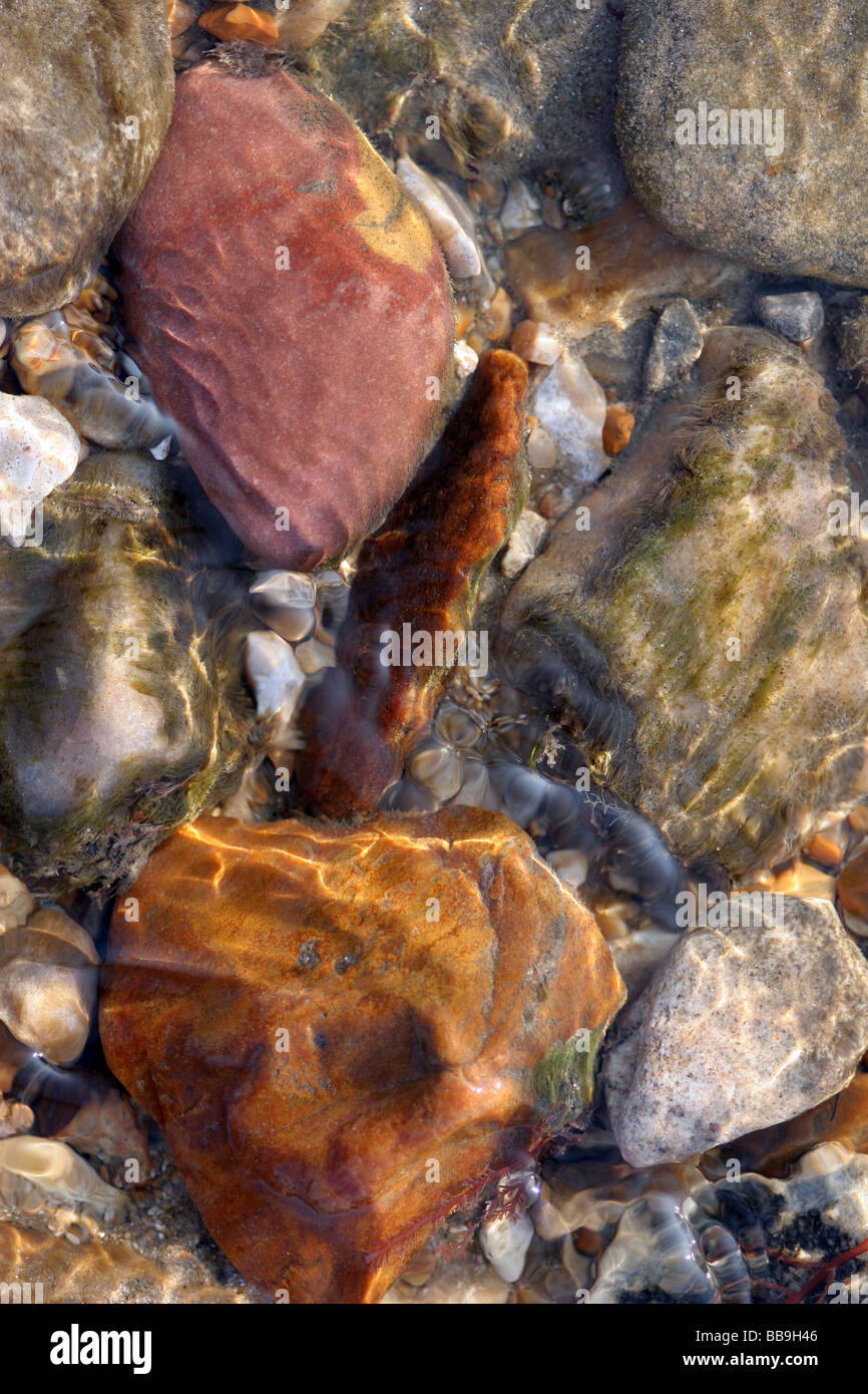 pebbles in a beach rockpool Stock Photo - Alamy