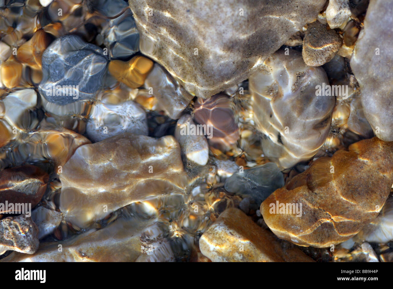 Rockpool hi-res stock photography and images - Alamy