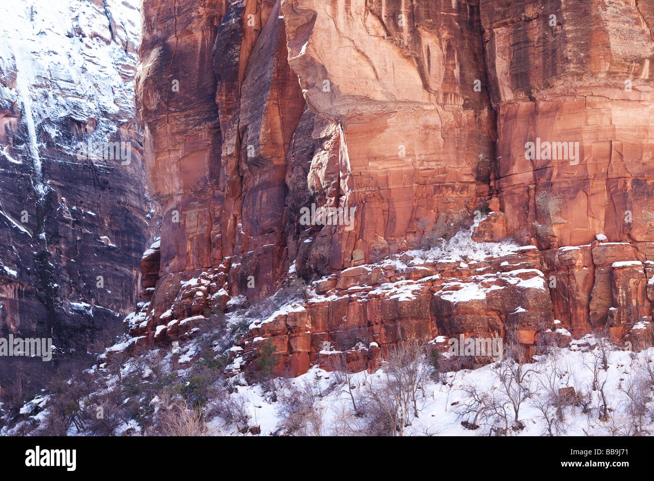 Zion National Park with Snow in Winter - Utah Plateau, Zion National ...