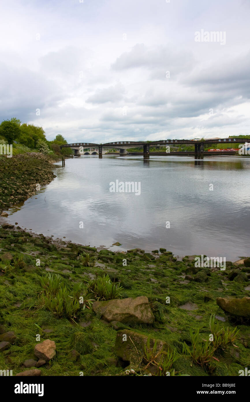 River Tyne next to scotswood bridge looking towards old disused railway ...