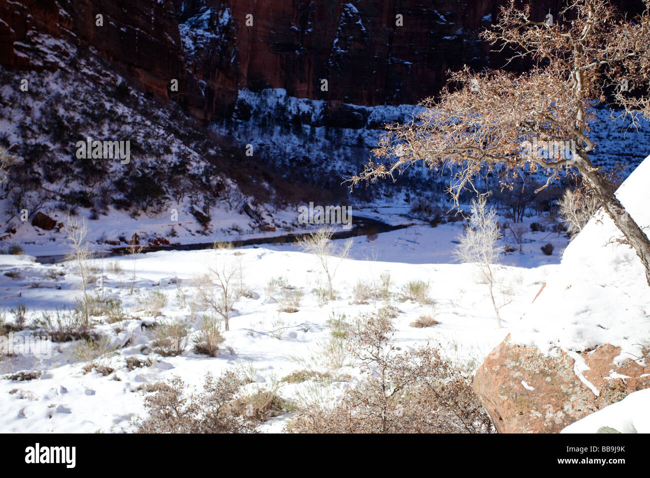 Zion National Park with Snow in Winter - Utah Plateau, Zion National ...