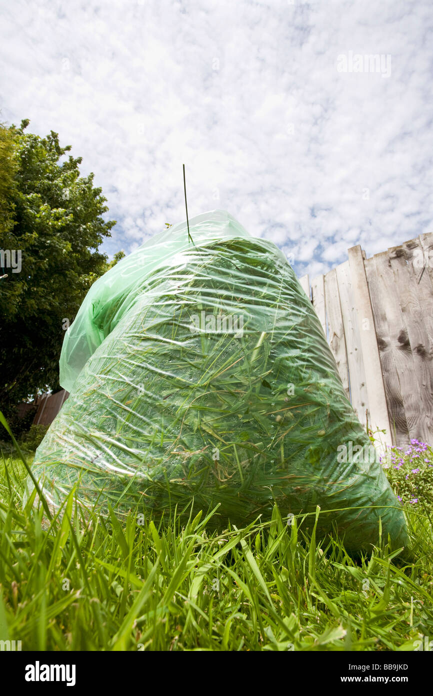 Cuttings bag hi-res stock photography and images - Alamy