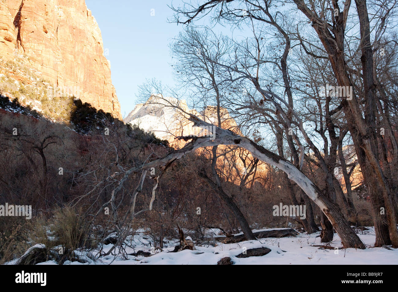 Zion National Park with Snow in Winter - Utah Plateau, Zion National ...