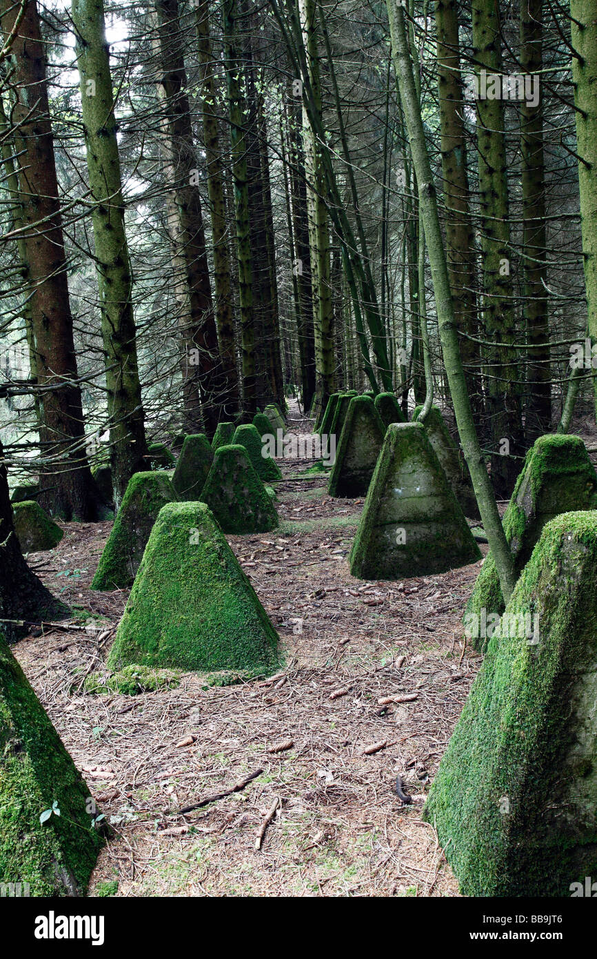 Dragons teeth tank traps hi-res stock photography and images - Alamy