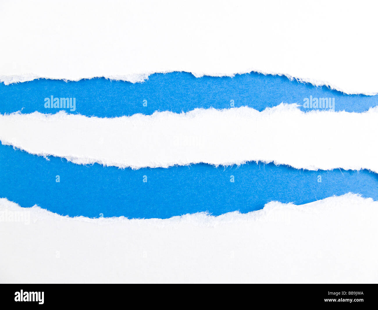 Blue stripes, under white torn paper. Tear in paper. Texture of torn ...