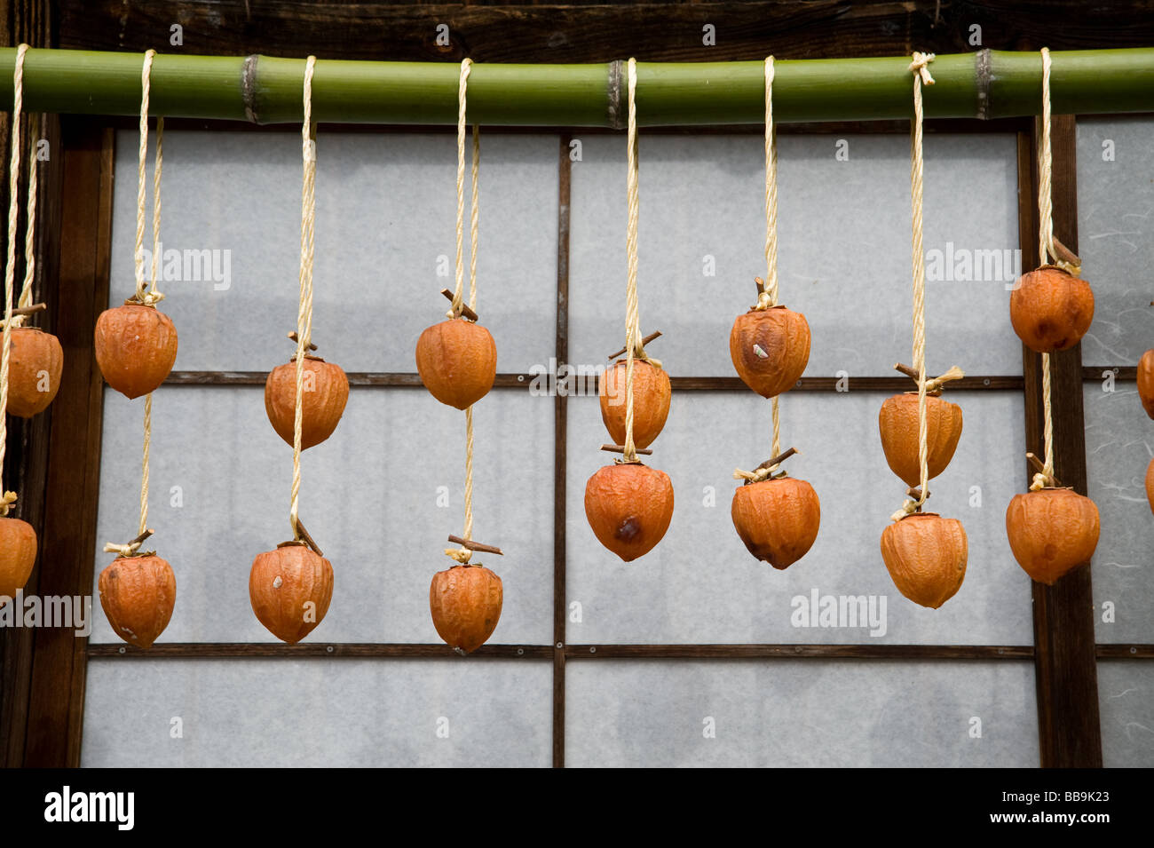 Persimmon fruit kaki drying outdoors at Gassho Village of Gero Onsen an ...