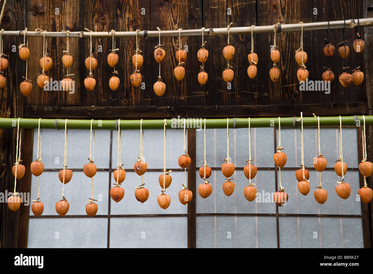 Persimmon fruit kaki drying outdoors at Gassho Village of Gero Onsen an ...