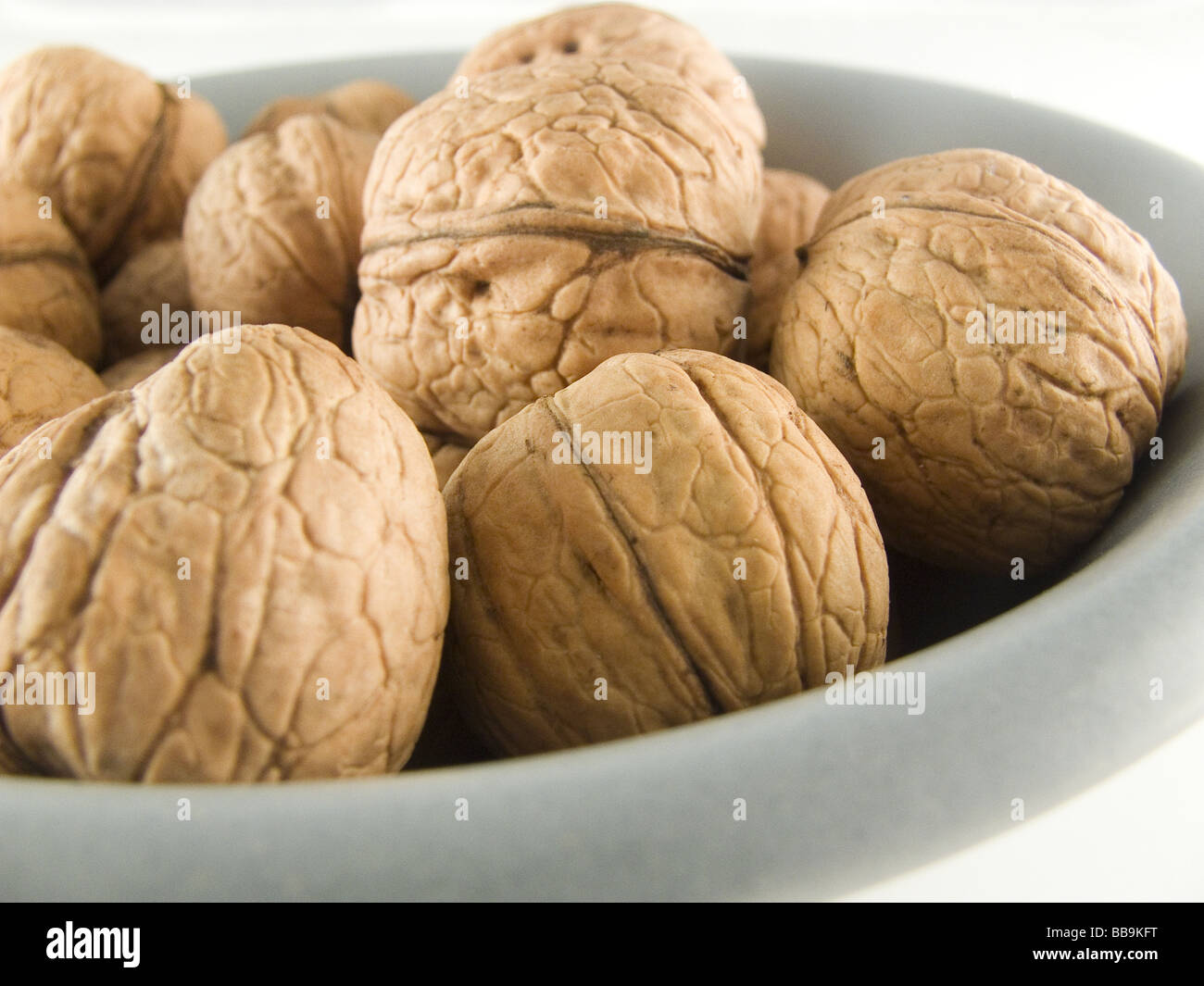 Shell bowl hi-res stock photography and images - Alamy