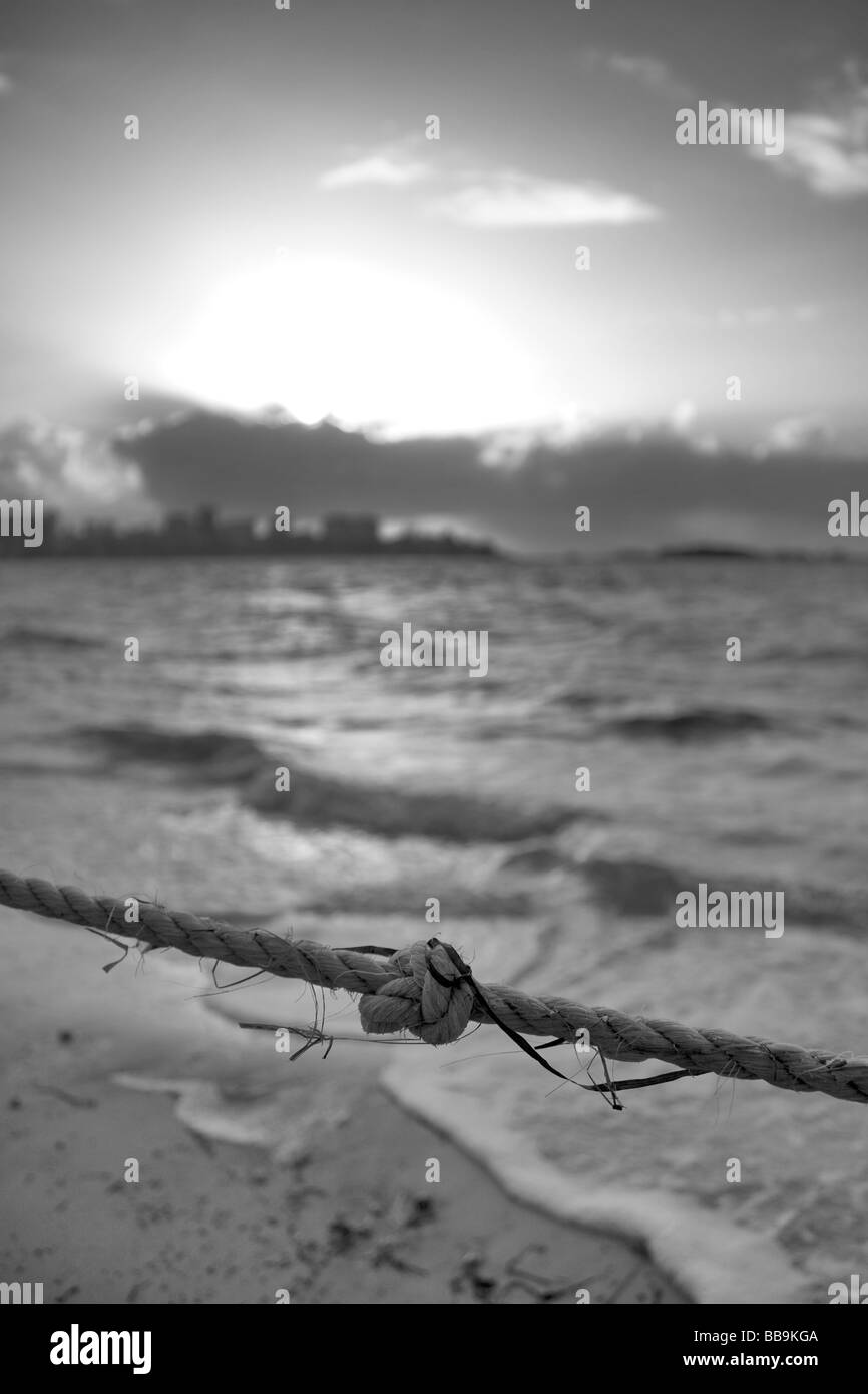 Enjoy shot Black and White Stock Photos & Images - Alamy