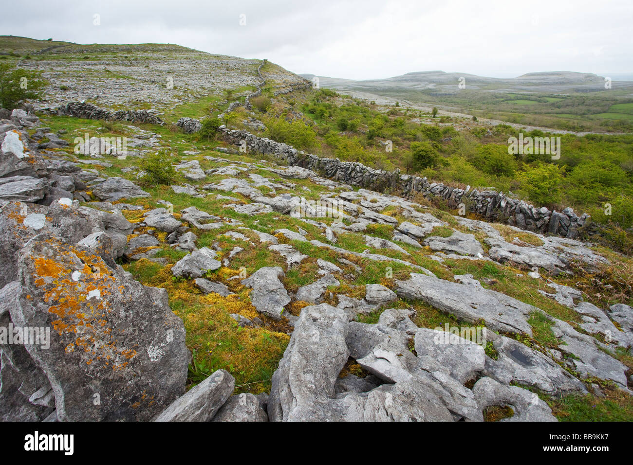 Limestone pavements and stone walls of Fahee North looking Turloughmore ...
