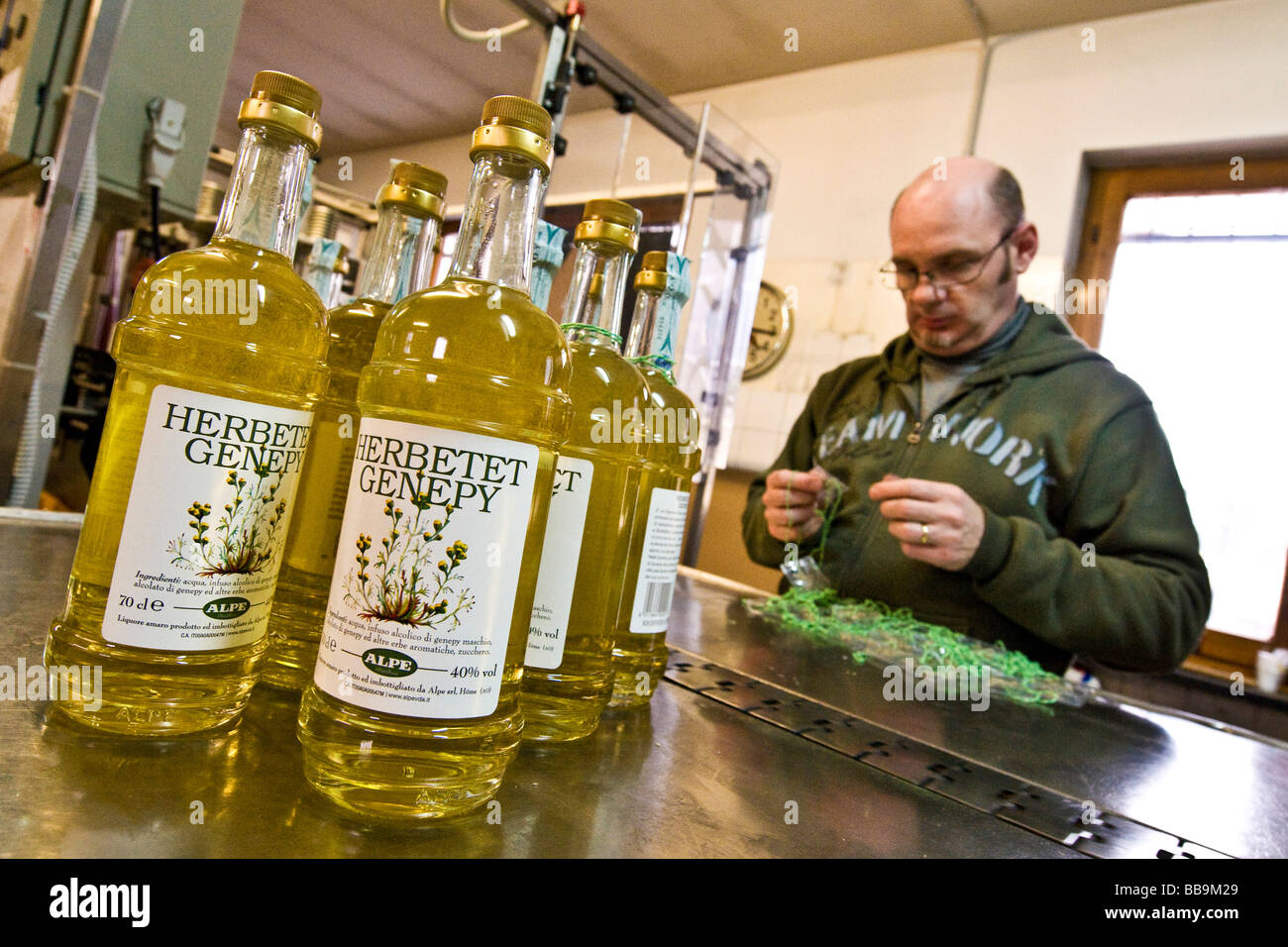 Alpe Distillery Production of Genepy Hone Aosta Italy Stock Photo - Alamy