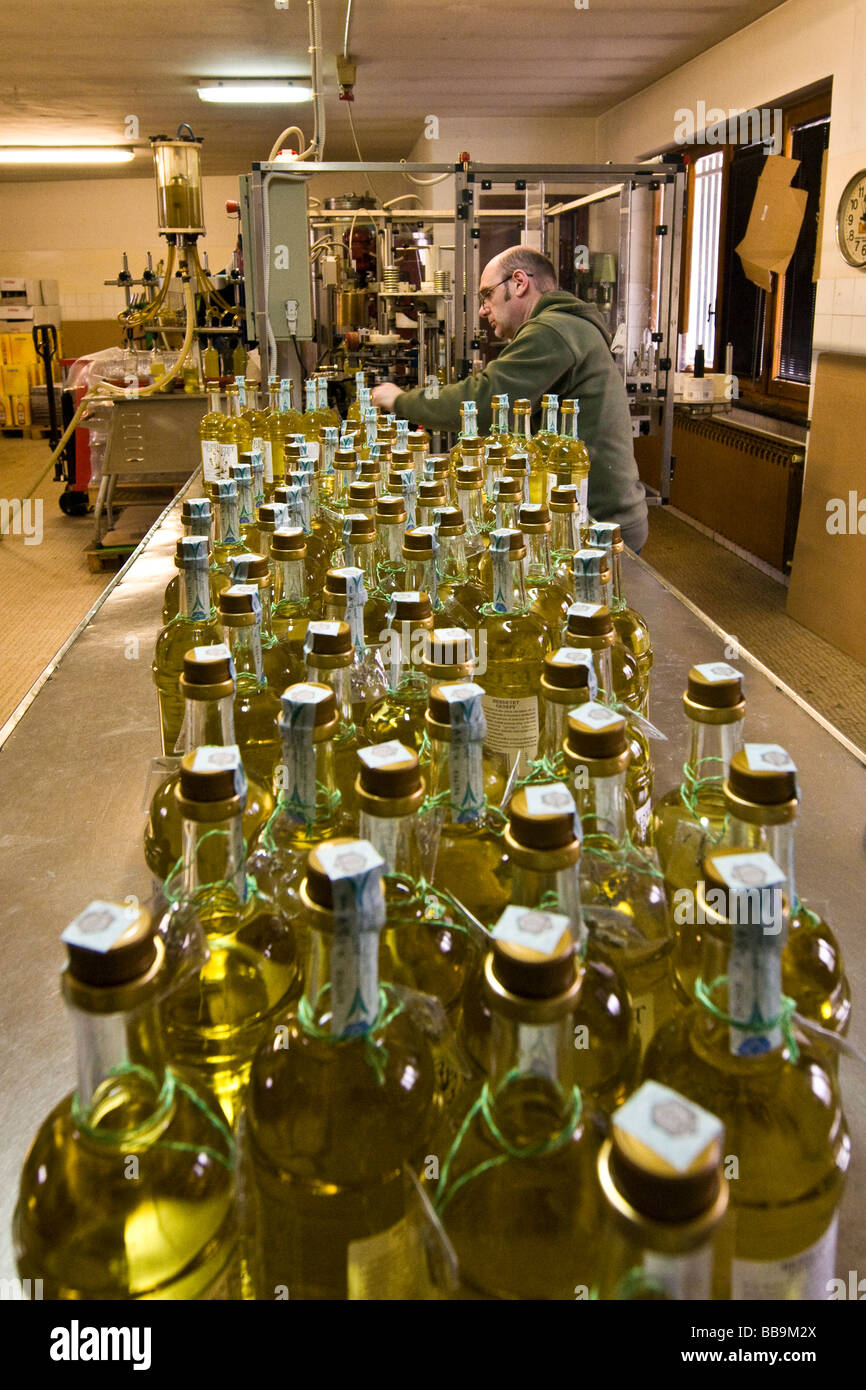 Alpe Distillery Production of Genepy Hone Aosta Italy Stock Photo - Alamy