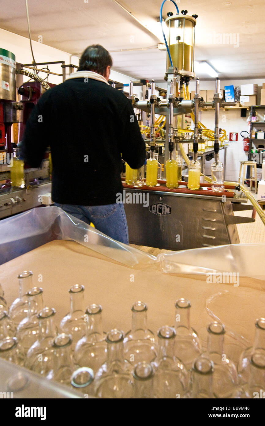 Alpe Distillery Production of Genepy Hone Aosta Italy Stock Photo - Alamy