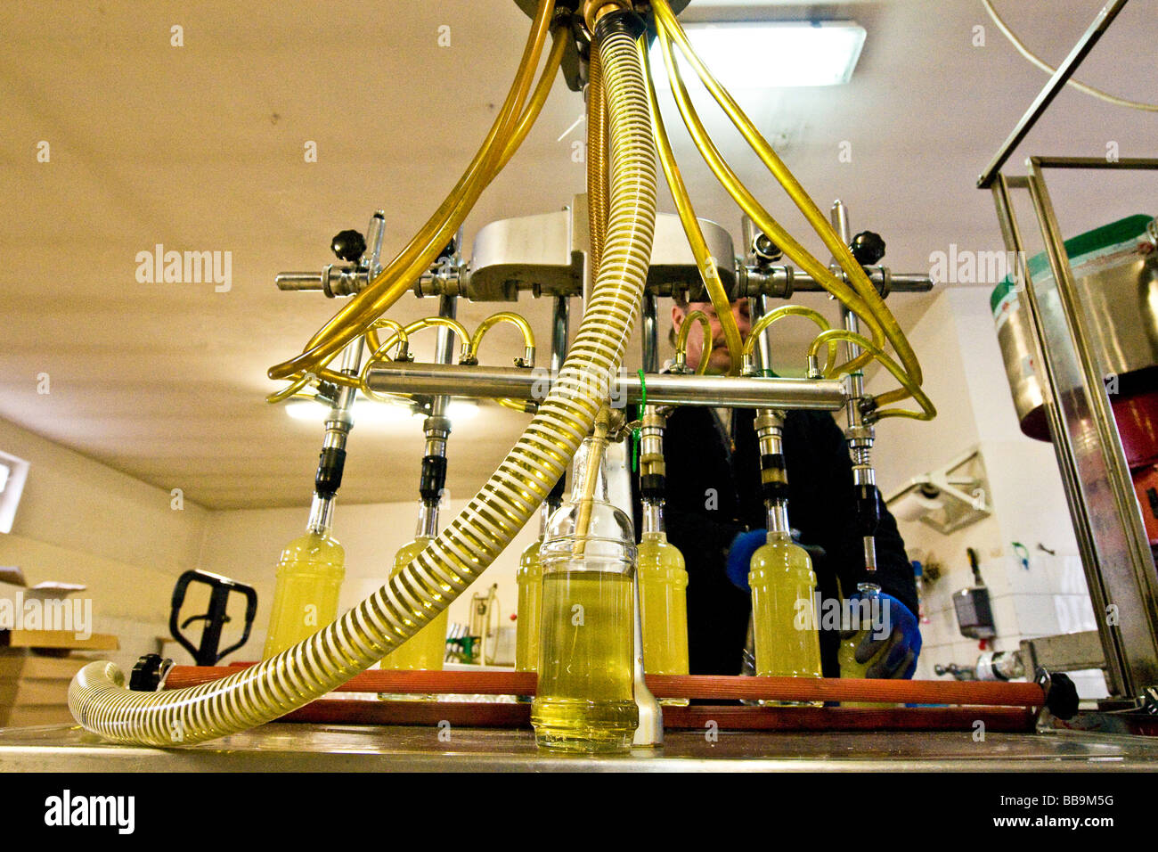 Alpe Distillery Production of Genepy Hone Aosta Italy Stock Photo - Alamy