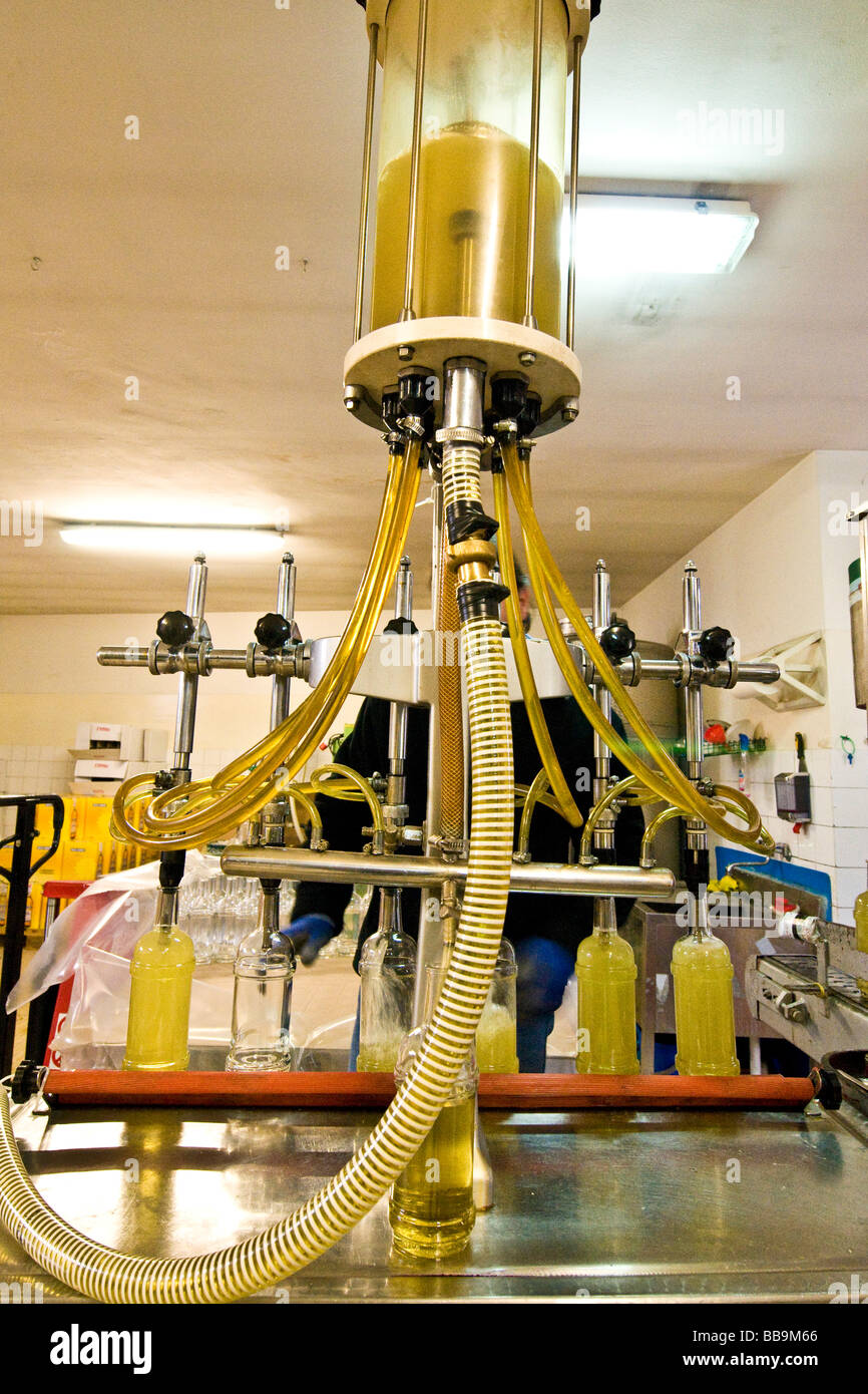 Alpe Distillery Production of Genepy Hone Aosta Italy Stock Photo - Alamy