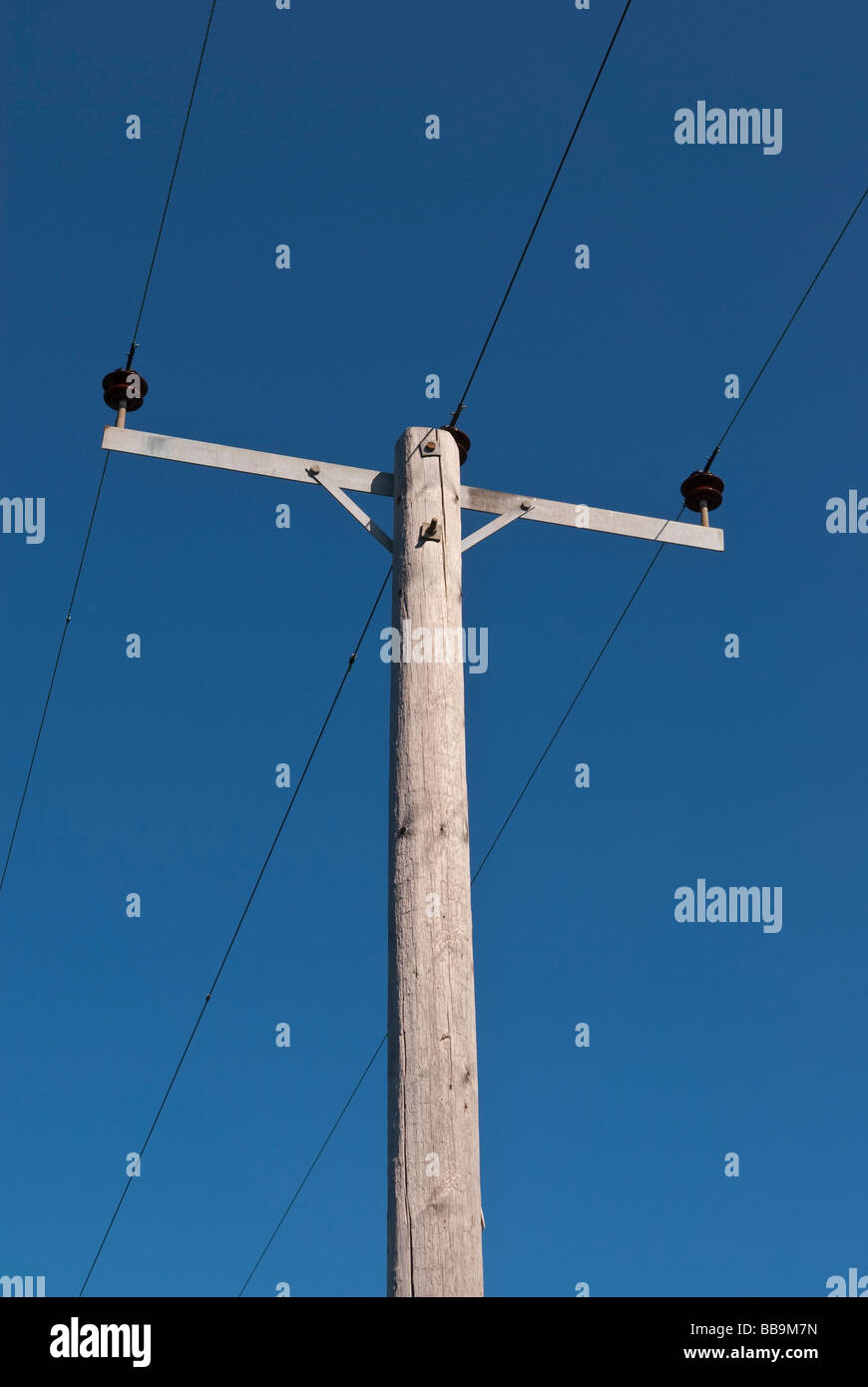 A telegraph pole and wires for electrical communications services ...
