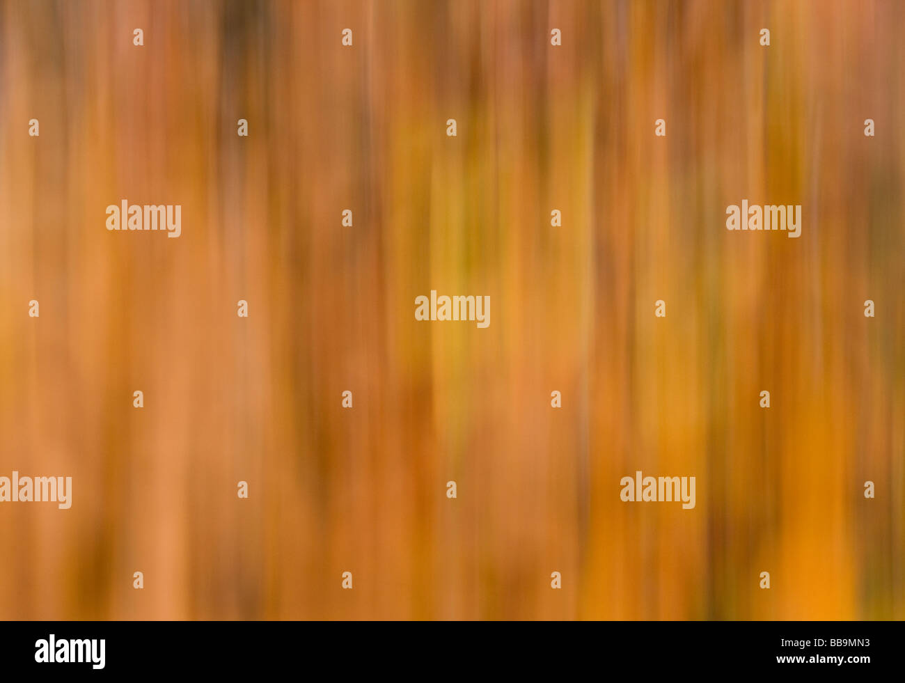 Abstract brown orange hi-res stock photography and images - Alamy
