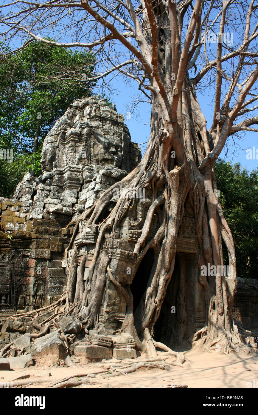 Angkor temple hi-res stock photography and images - Alamy