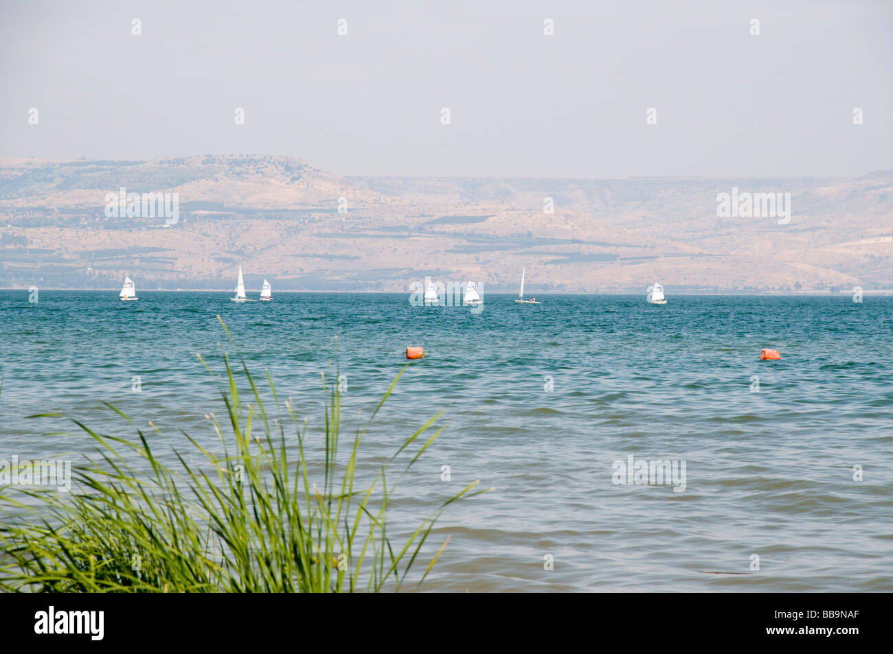 Israel sail boats on Sea of Galilee May 2009 Stock Photo - Alamy