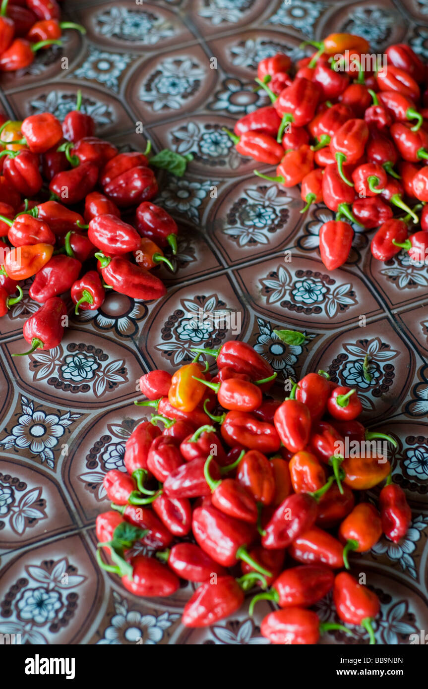 bunch of red chilles, taken at a market in Samoa Stock Photo - Alamy