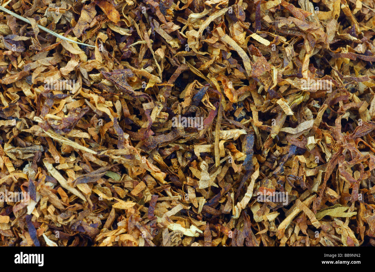 Tobacco tar hi-res stock photography and images - Alamy