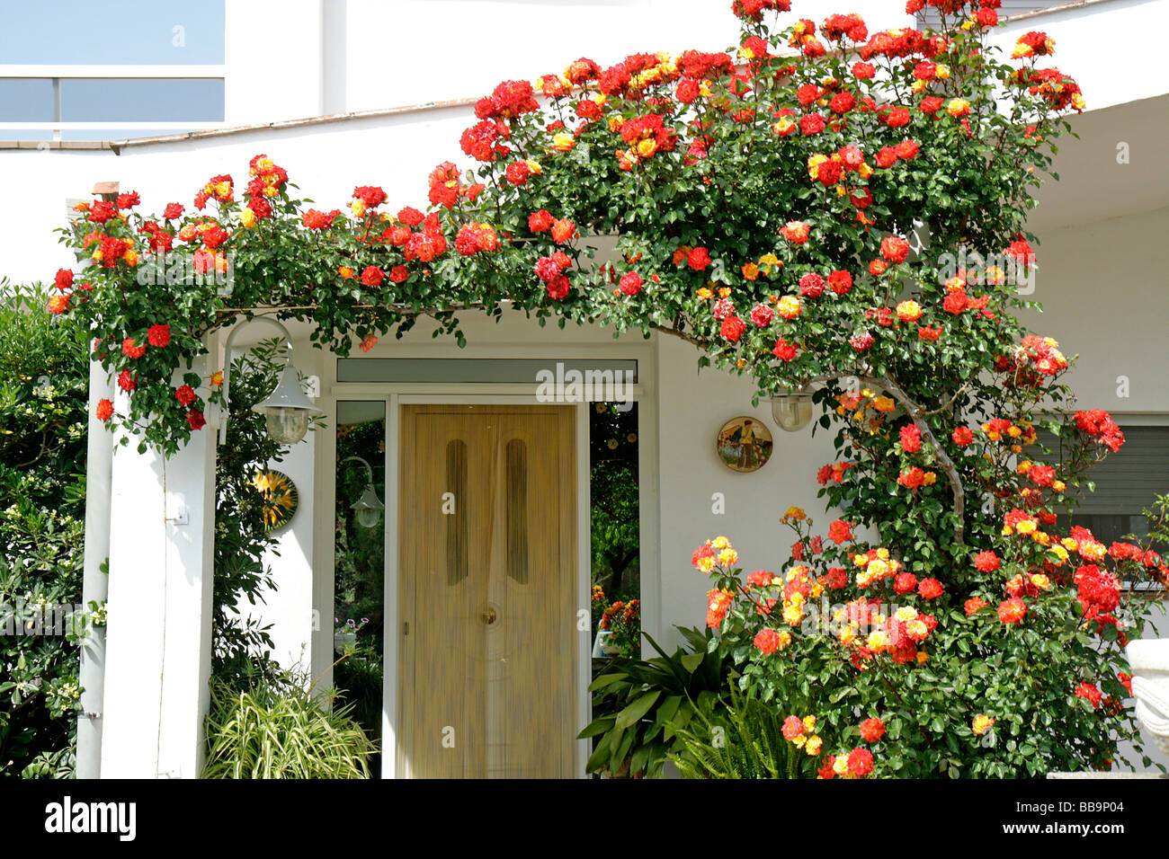 Climbing rose house hi-res stock photography and images - Alamy
