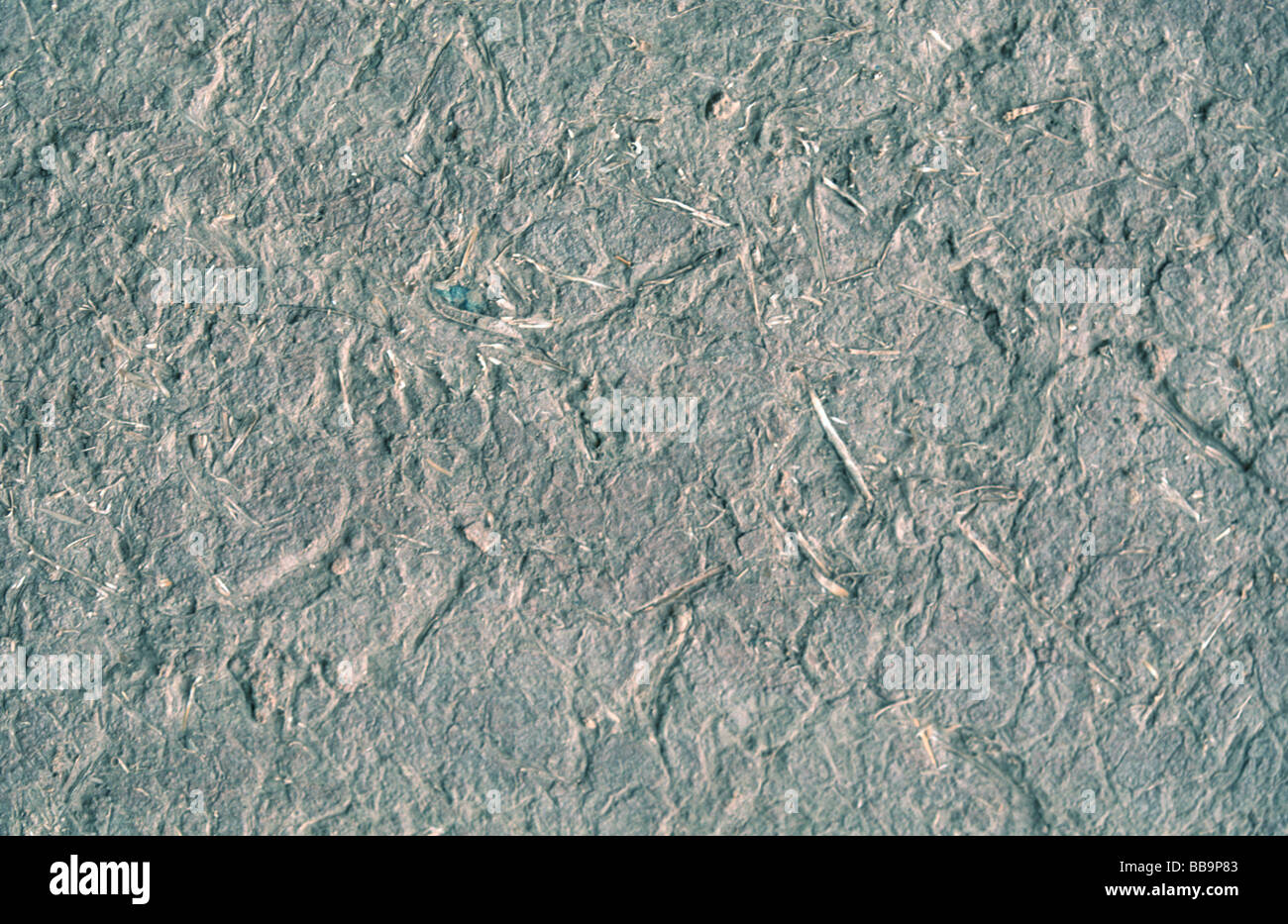 Mudbrick Construction High Resolution Stock Photography and Images - Alamy