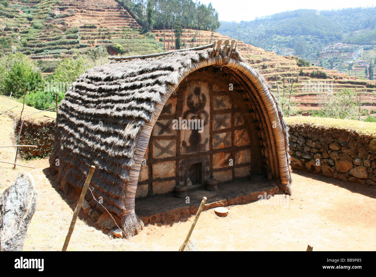 Toda High Resolution Stock Photography and Images - Alamy