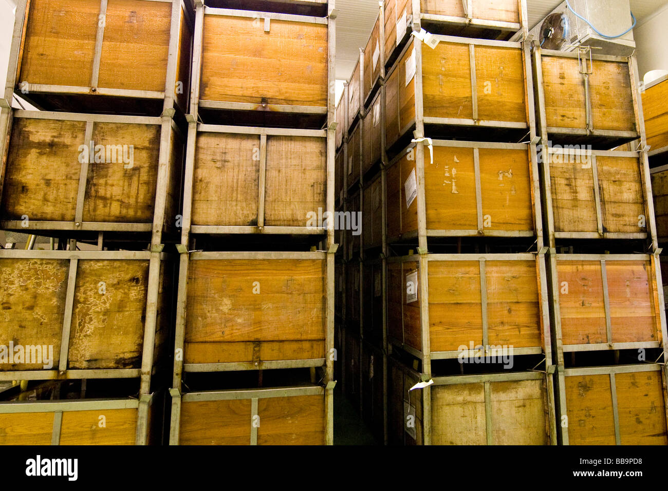 Boxes of seasoning of lard of Arnad Province of Aosta Italy Stock Photo ...