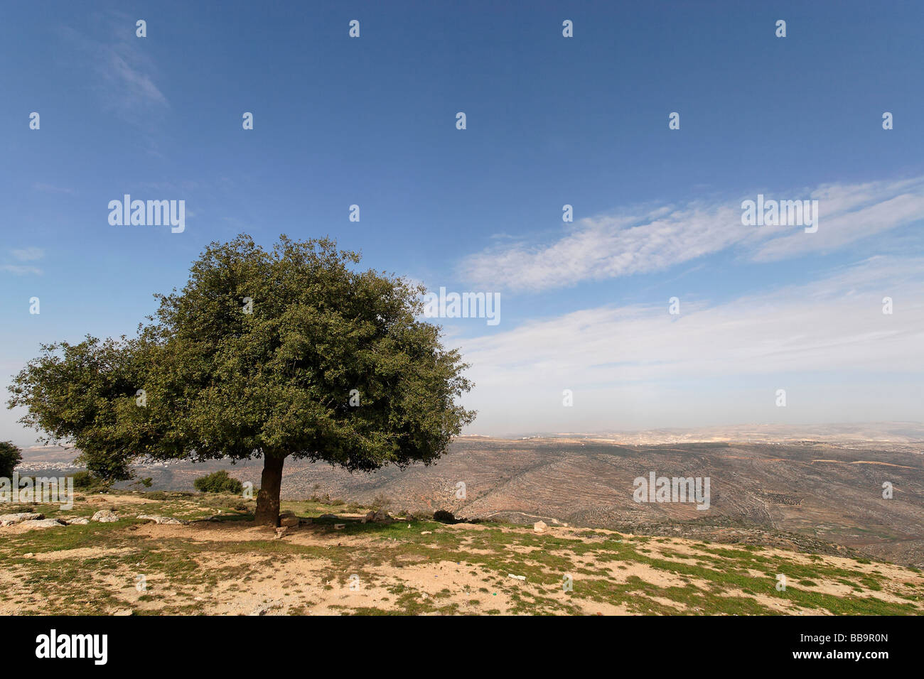 Judea Beth El mountains A view of Samaria from Sheikh Zeid Stock Photo ...