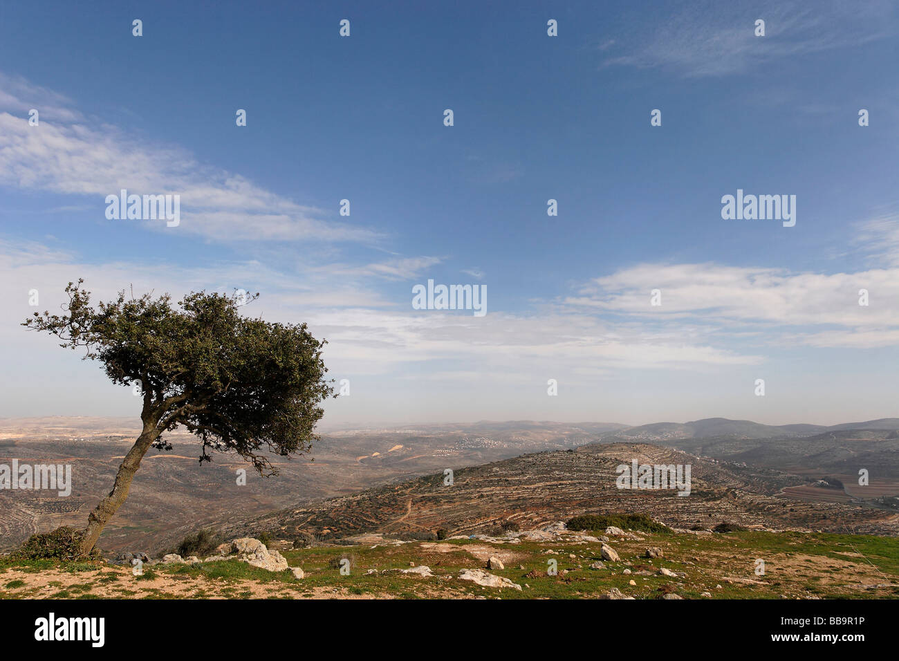 Judea samaria hi-res stock photography and images - Alamy