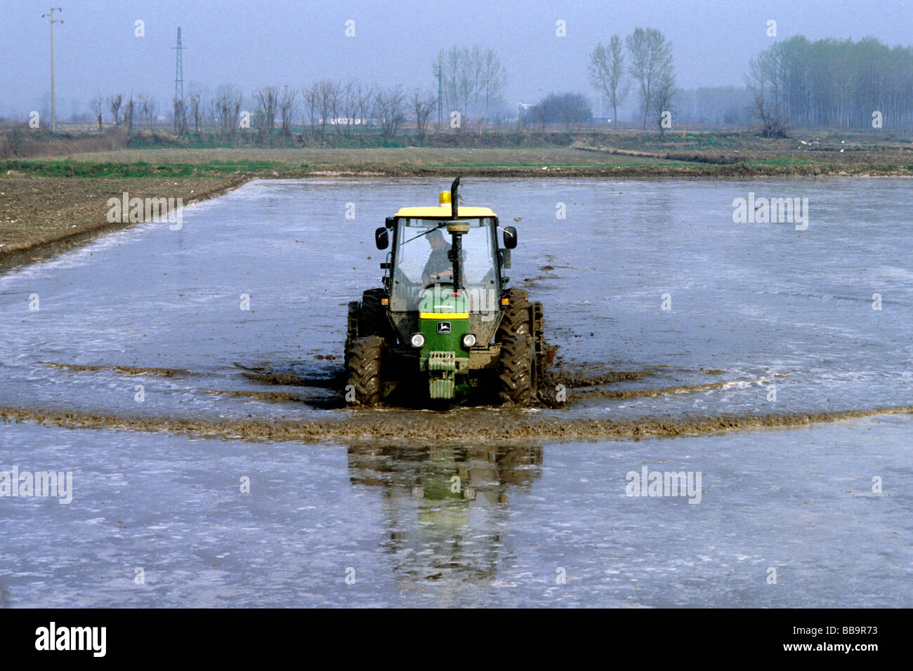 Rice fields in lomellina hi-res stock photography and images - Alamy