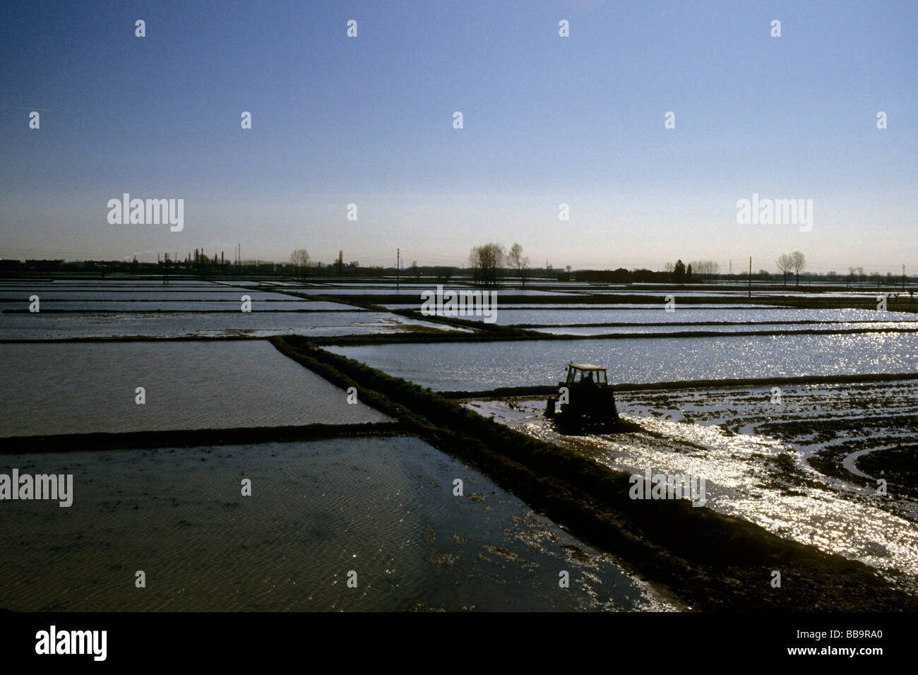 Rice fields in lomellina hi-res stock photography and images - Alamy