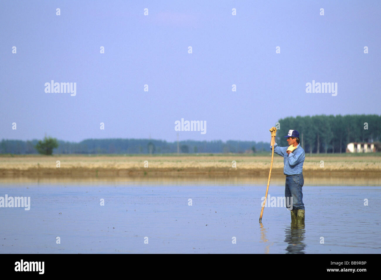 Rice workers italy hi-res stock photography and images - Alamy