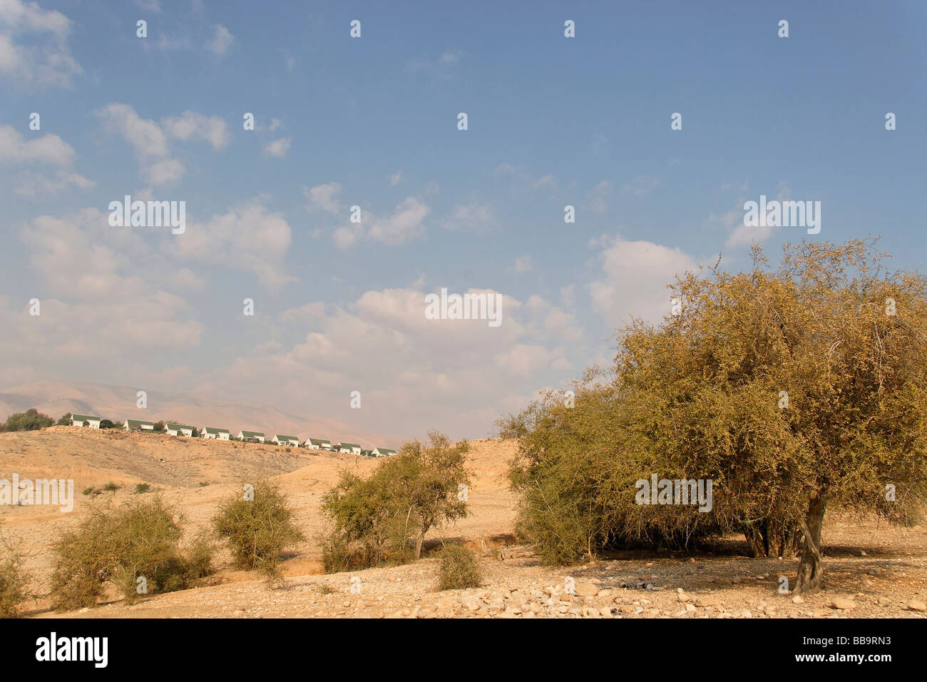 Moshav in southern israel hi-res stock photography and images - Alamy