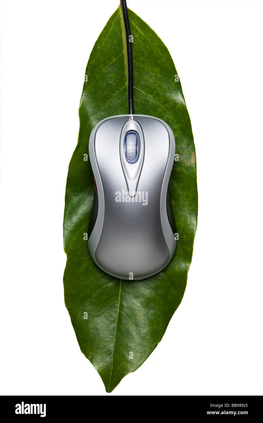 Computer mouse on a leaf Stock Photo - Alamy