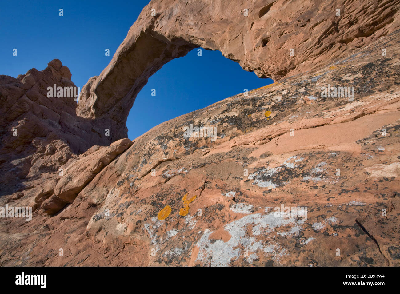 The South Window in the Windows section of Arches National Park Utah ...