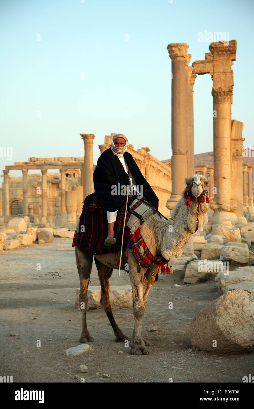 Camel in roman ruins palmyra hi-res stock photography and images - Alamy