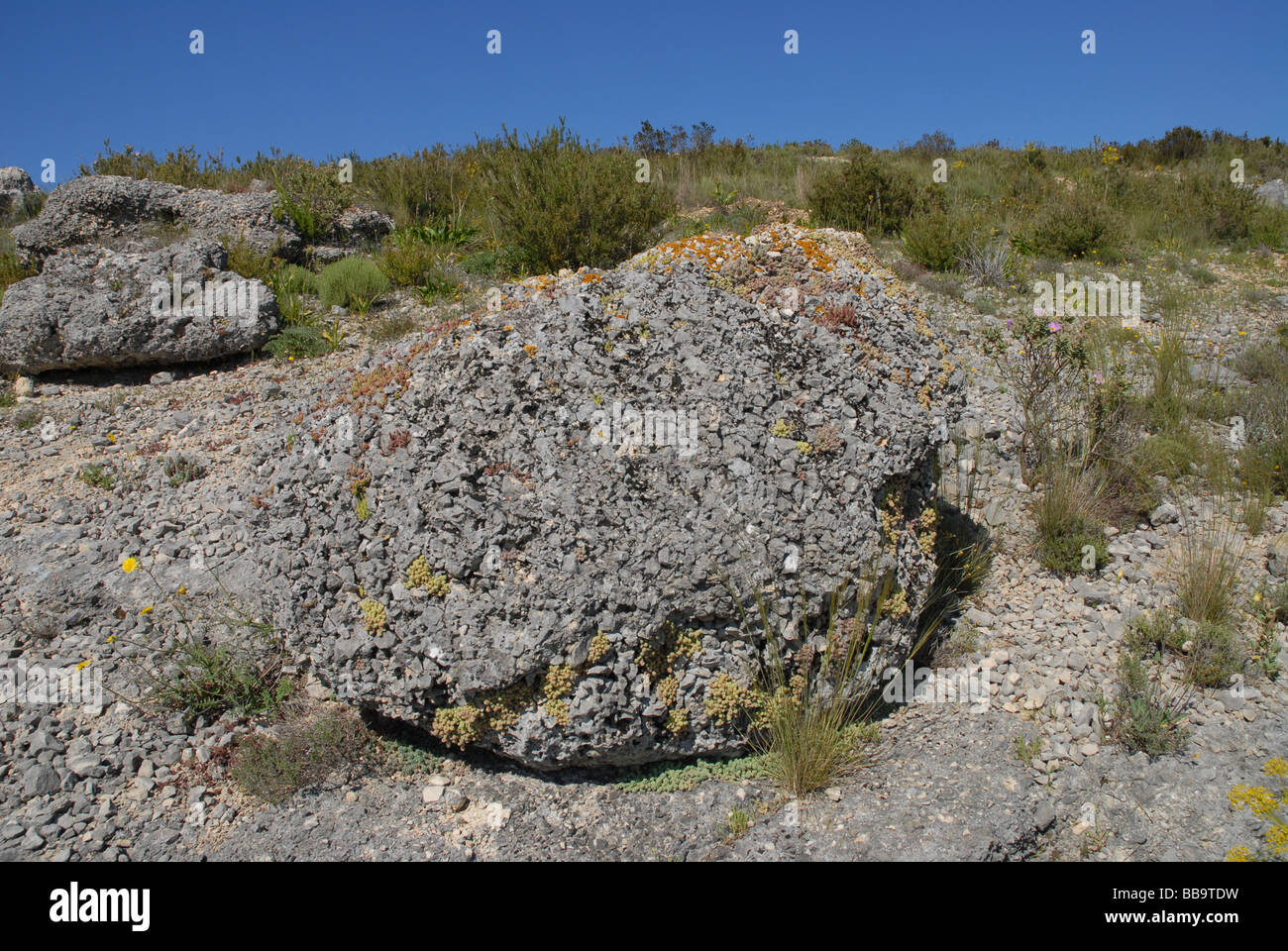 Conglomerate sedimentary rock hi-res stock photography and images - Alamy