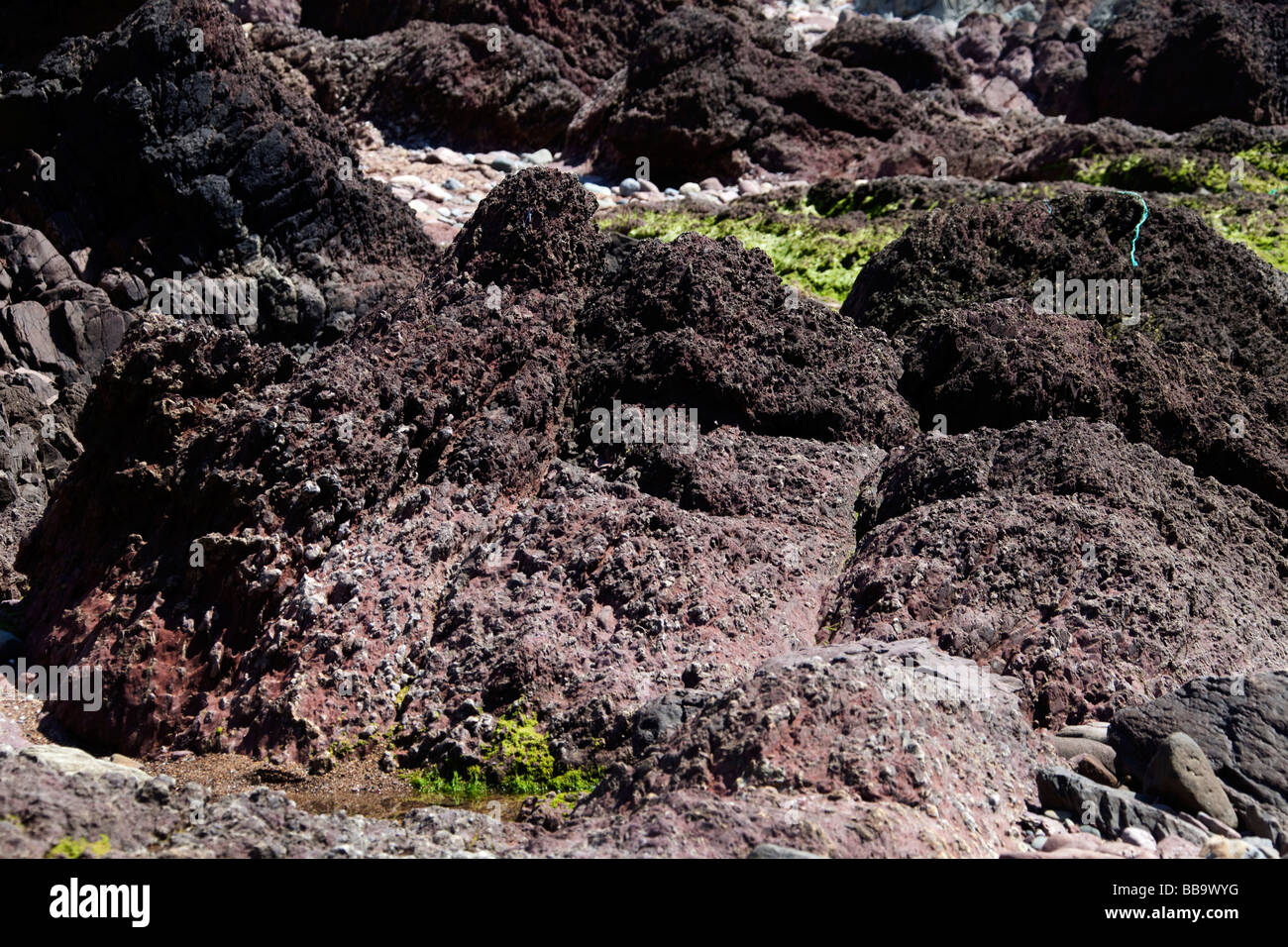 Rock pool at Freshwater west Pembrokeshire coast National Park Wales UK ...