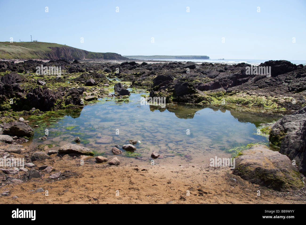 Rock pool at Freshwater west Pembrokeshire coast National Park Wales UK ...