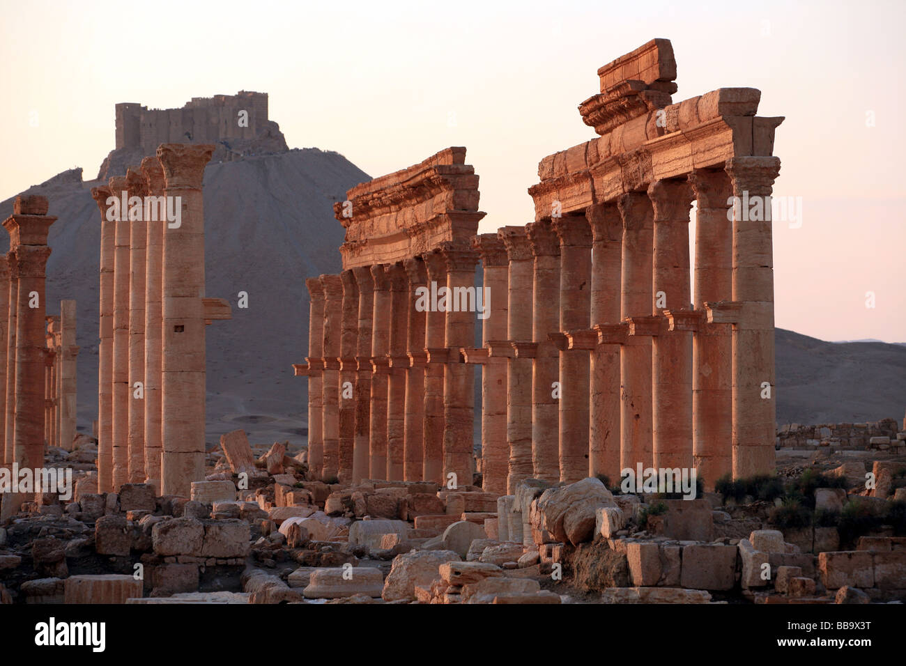 Colonnaded street Palmyra Syria Stock Photo - Alamy