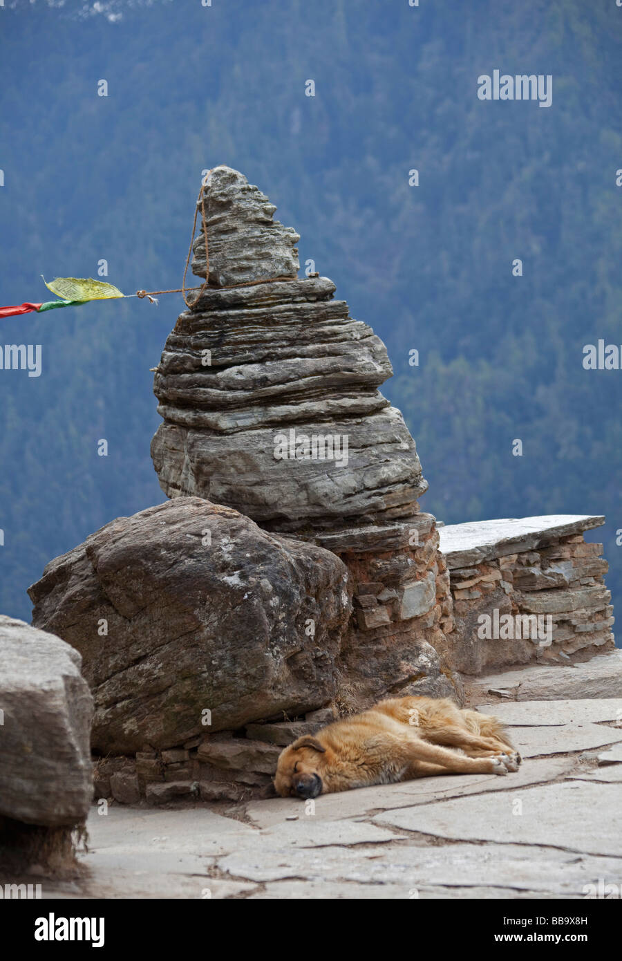 Bhutanese dog hi-res stock photography and images - Alamy