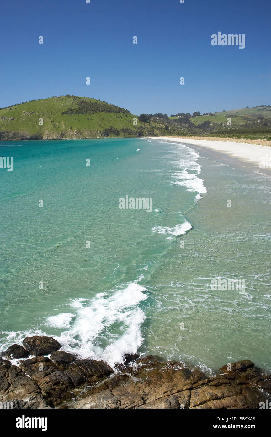 Dunedin from the ocean beach dunedin from the ocean beach hi-res stock ...