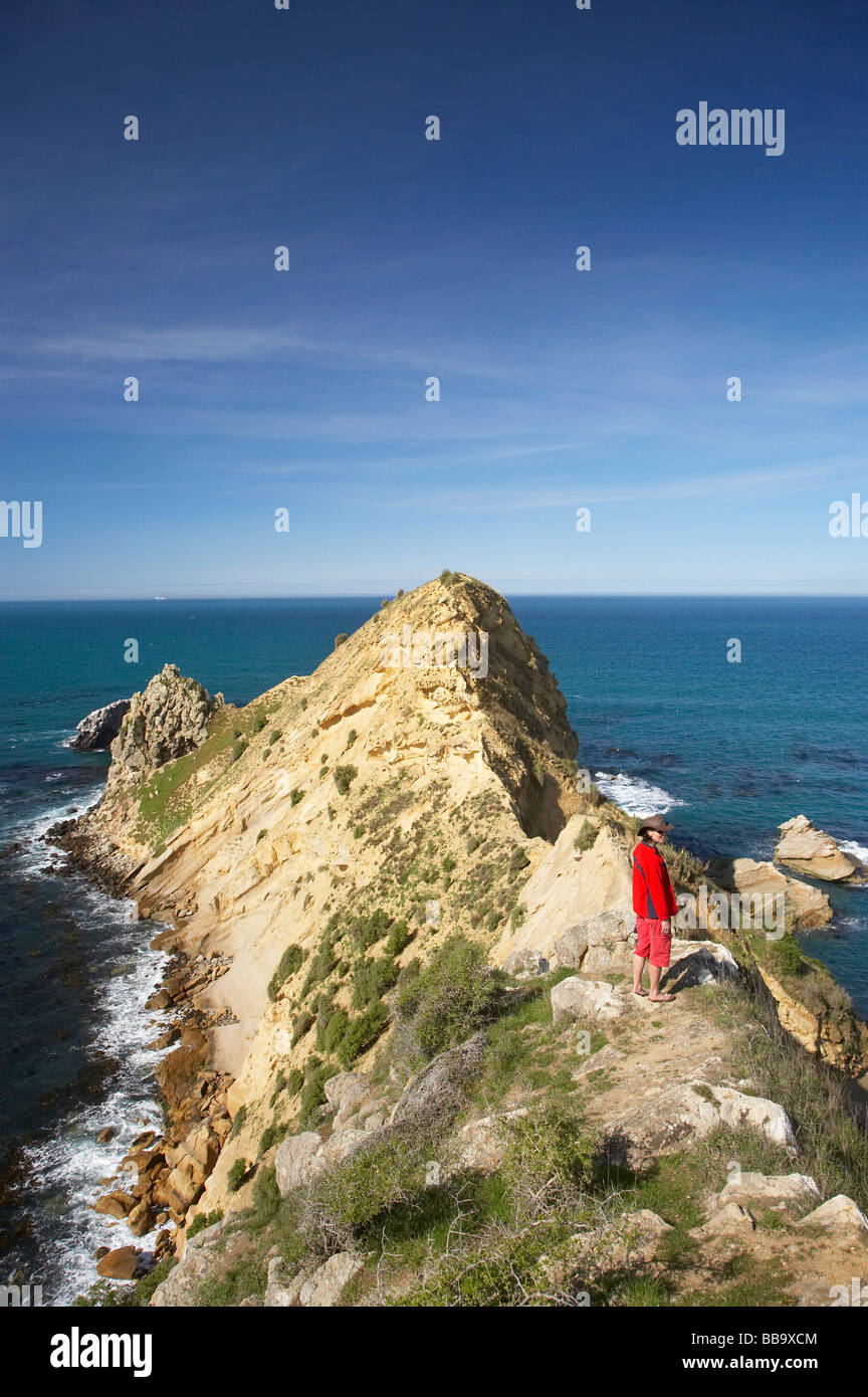 Historic maori pa site hi-res stock photography and images - Alamy